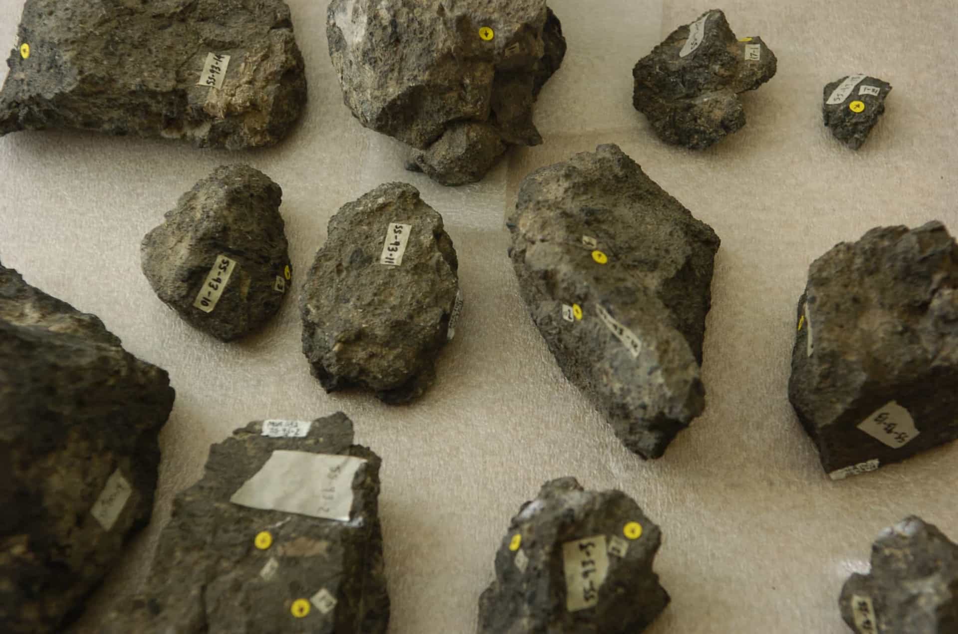 What do we actually know about dinosaurs?