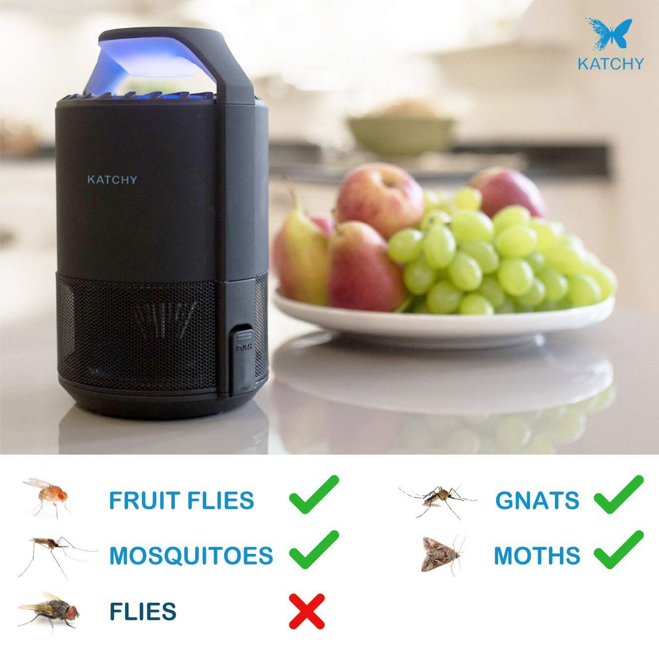 The Best Ways to Get Rid of Gnats in Your House