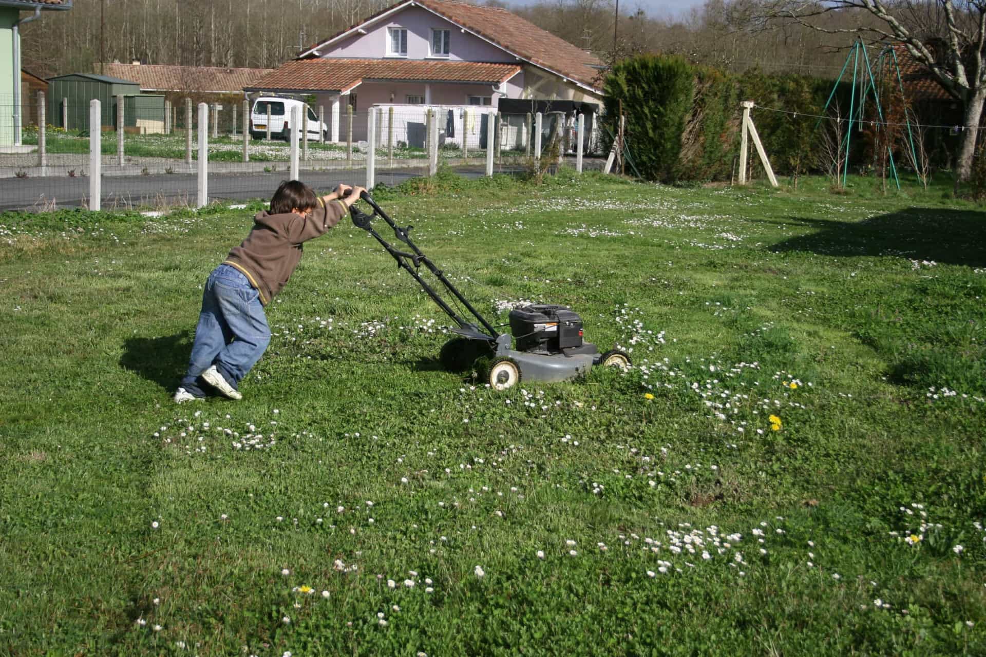 Telltale signs of a gifted child