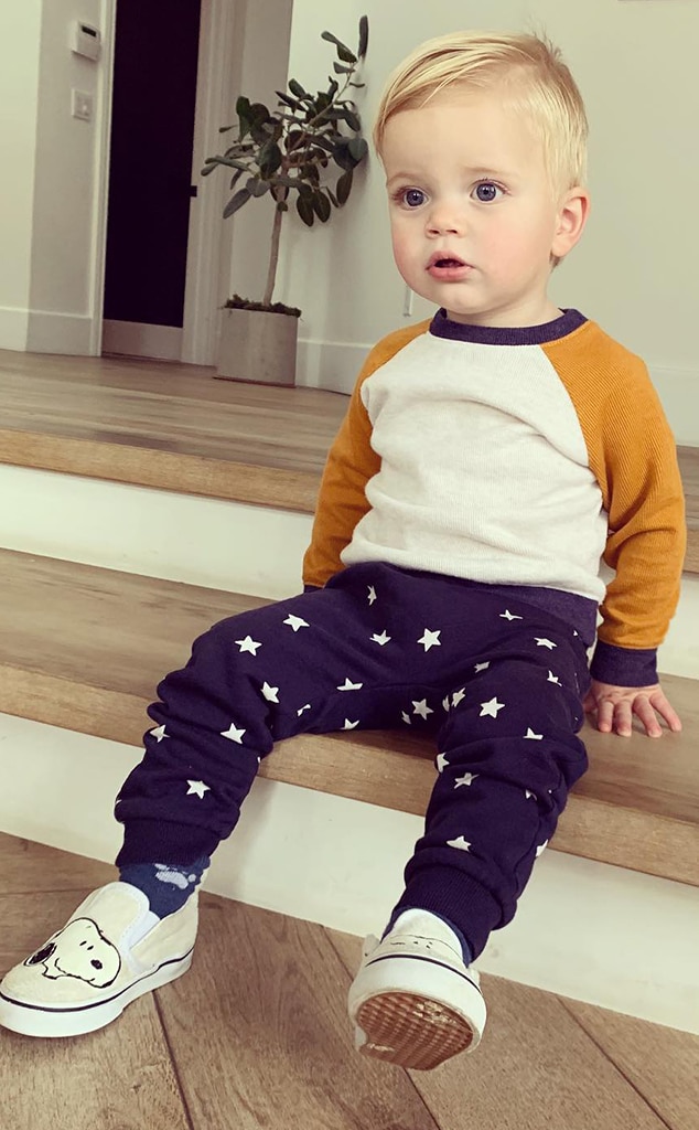 Christina Haack and Tarek El Moussa's Family Tree