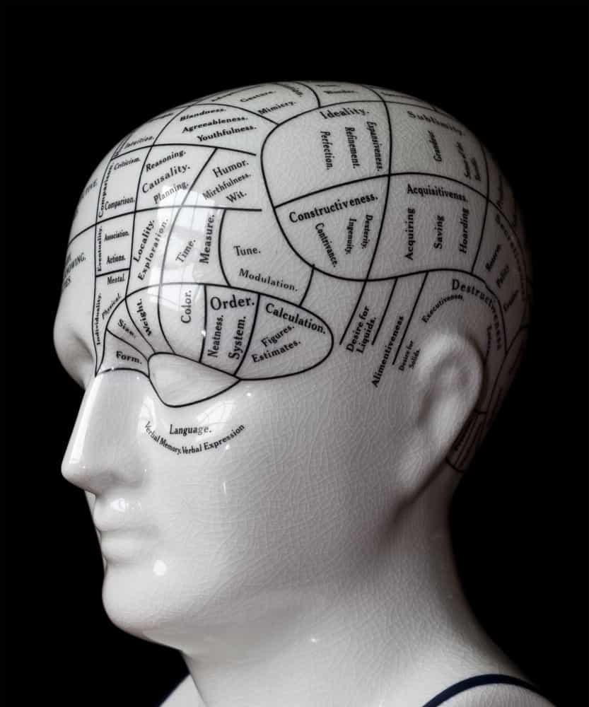 Why the human brain has shrunk