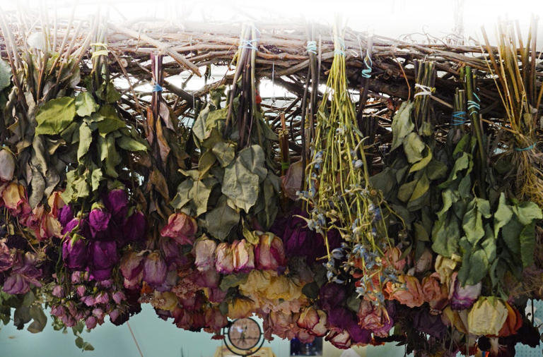 Make beautiful dried flowers in four simple steps