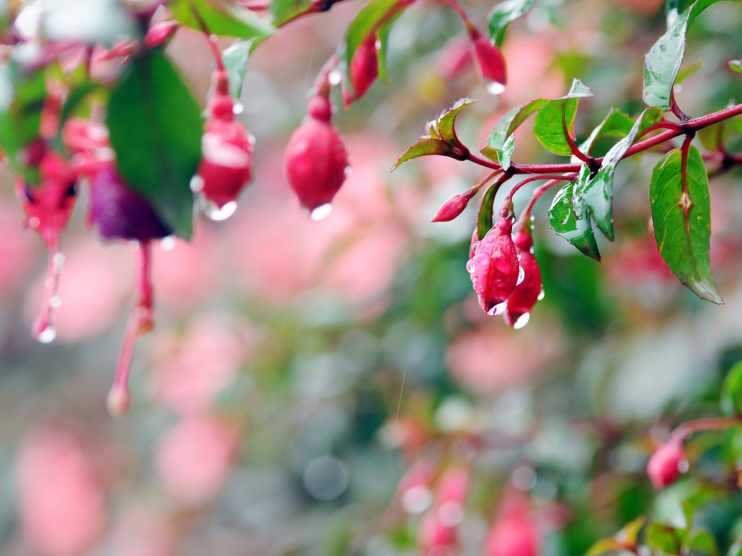 20 gardening shortcuts that save time, money and effort