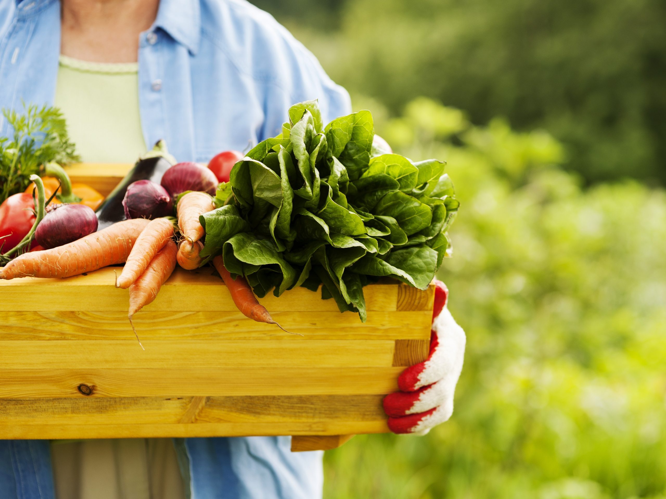 20 gardening shortcuts that save time, money and effort