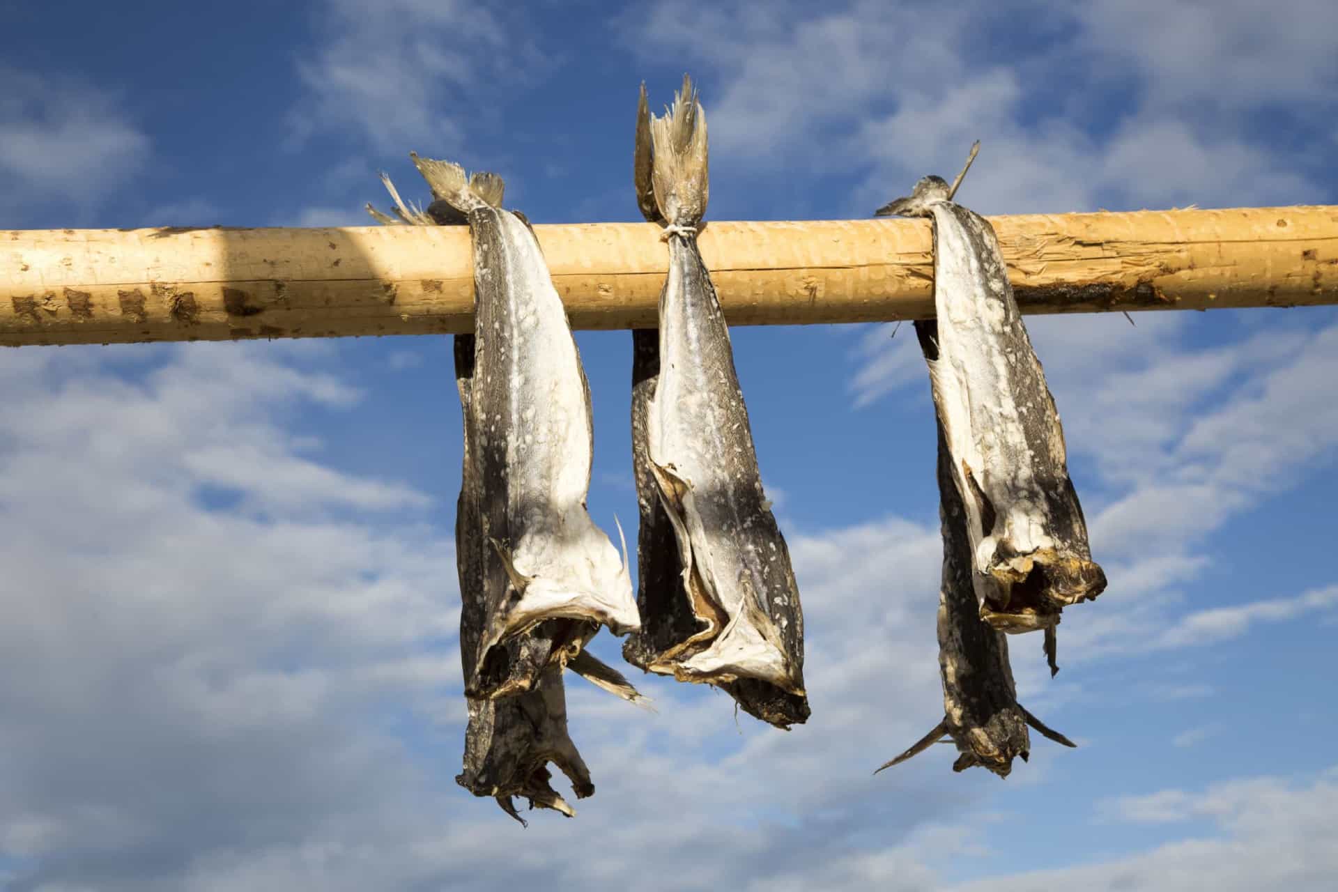 Curious facts you didn't know about the Vikings