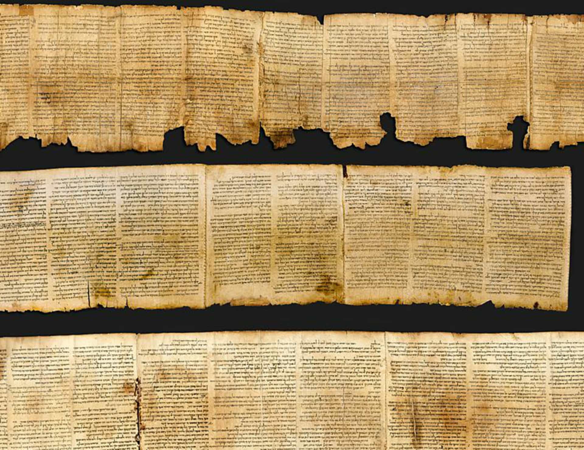 The astonishing discovery of the Dead Sea Scrolls