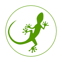 Global goal of zero deforestation by 2030 is severely off track