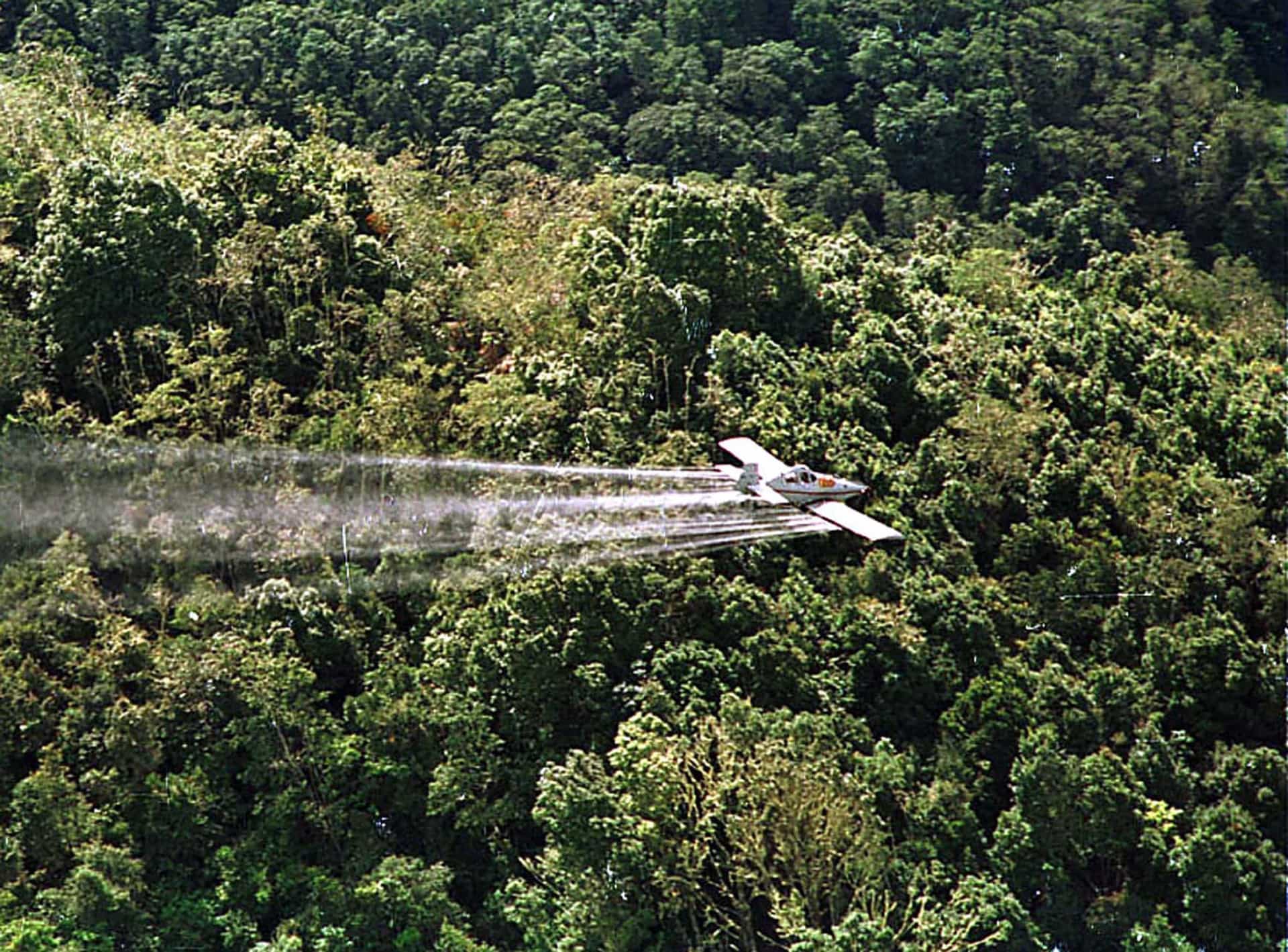 Unbelievable facts about Pablo Escobar