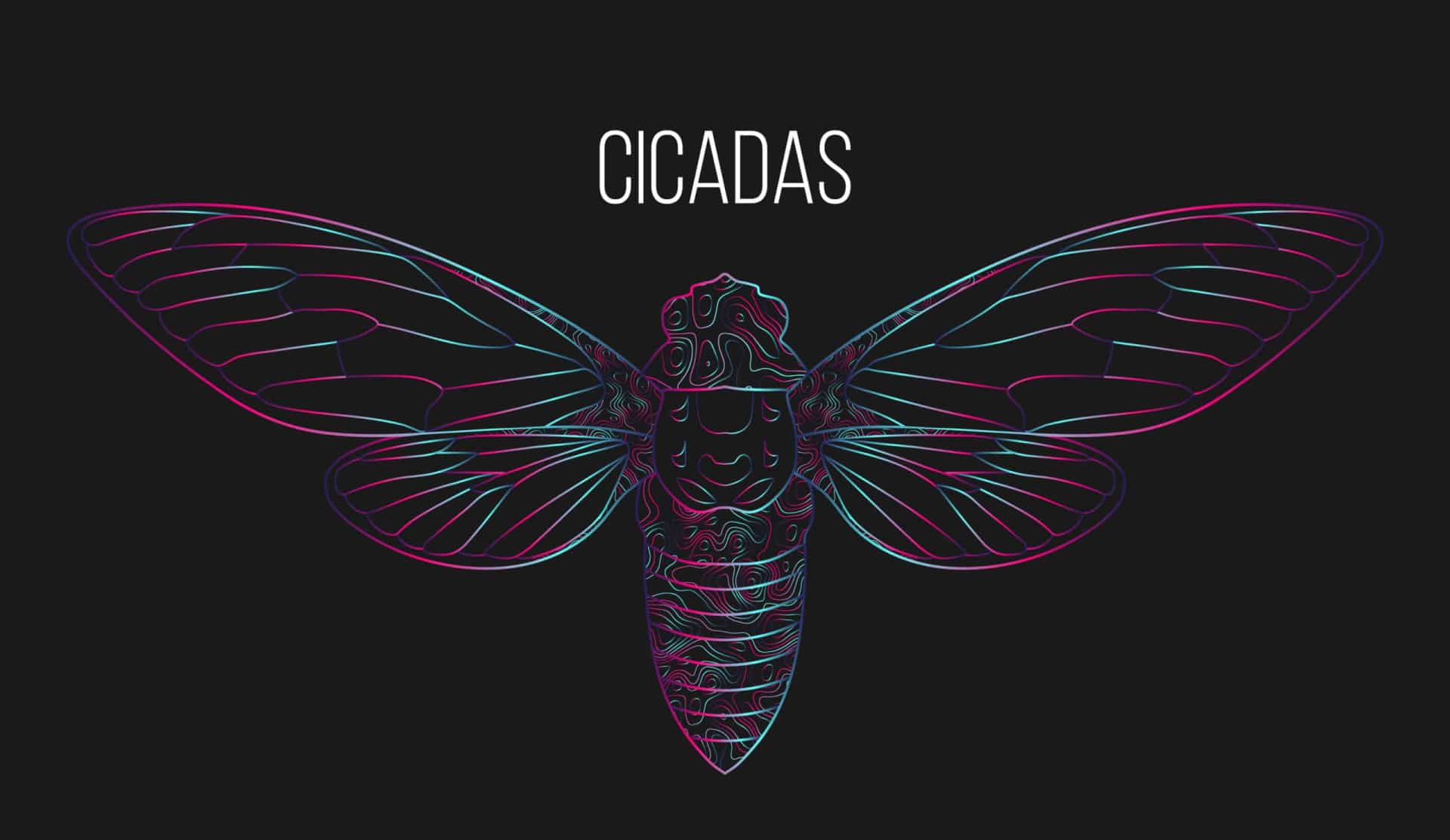 Codes that remain uncracked to this day