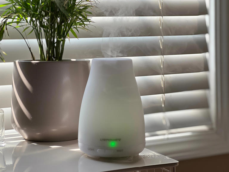 The 4 best essential oil diffusers of 2026, tested and reviewed