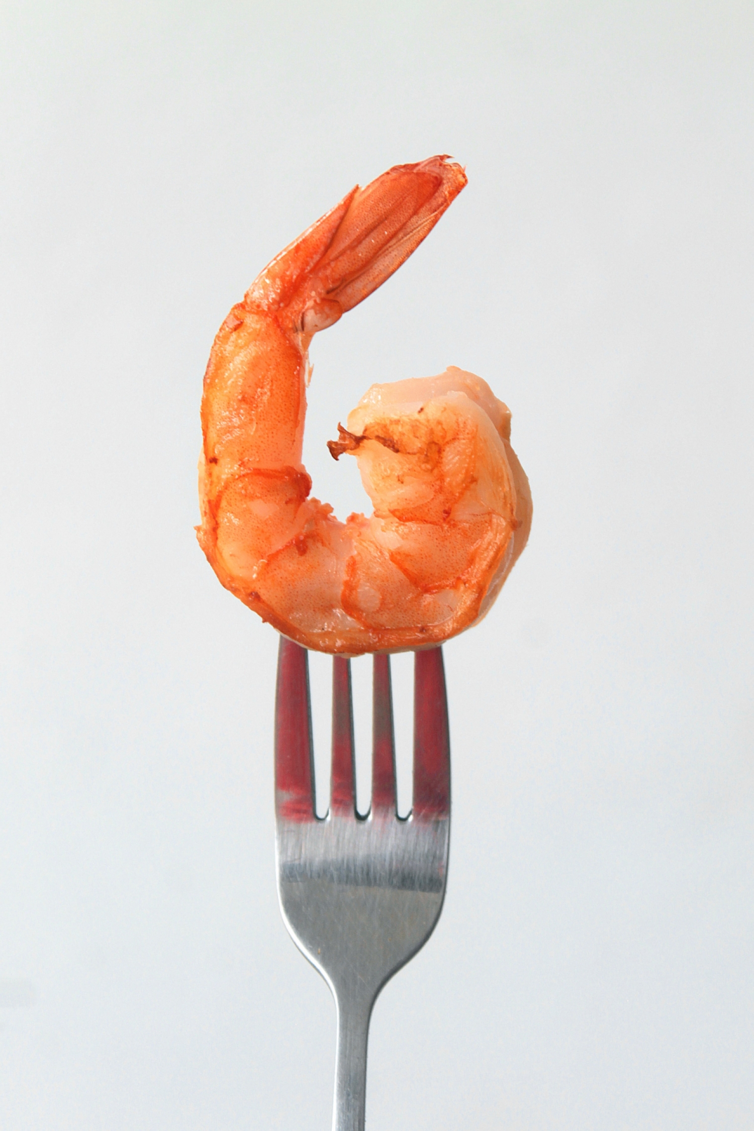 20 ricette (sane!) con i gamberetti che non puoi farti scappare