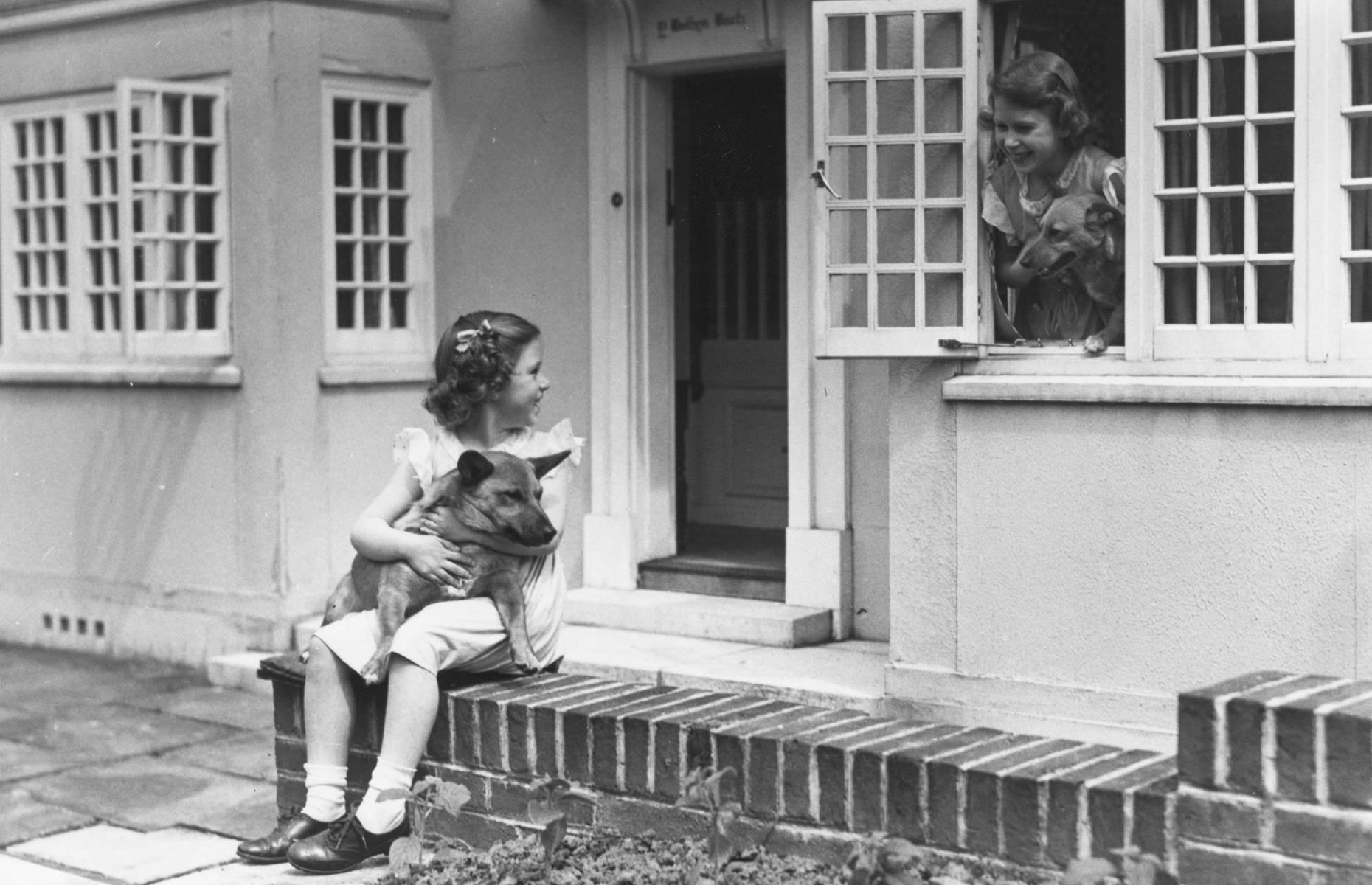 Meet The British Royal Family’s Pets: From Corgis To Chameleons