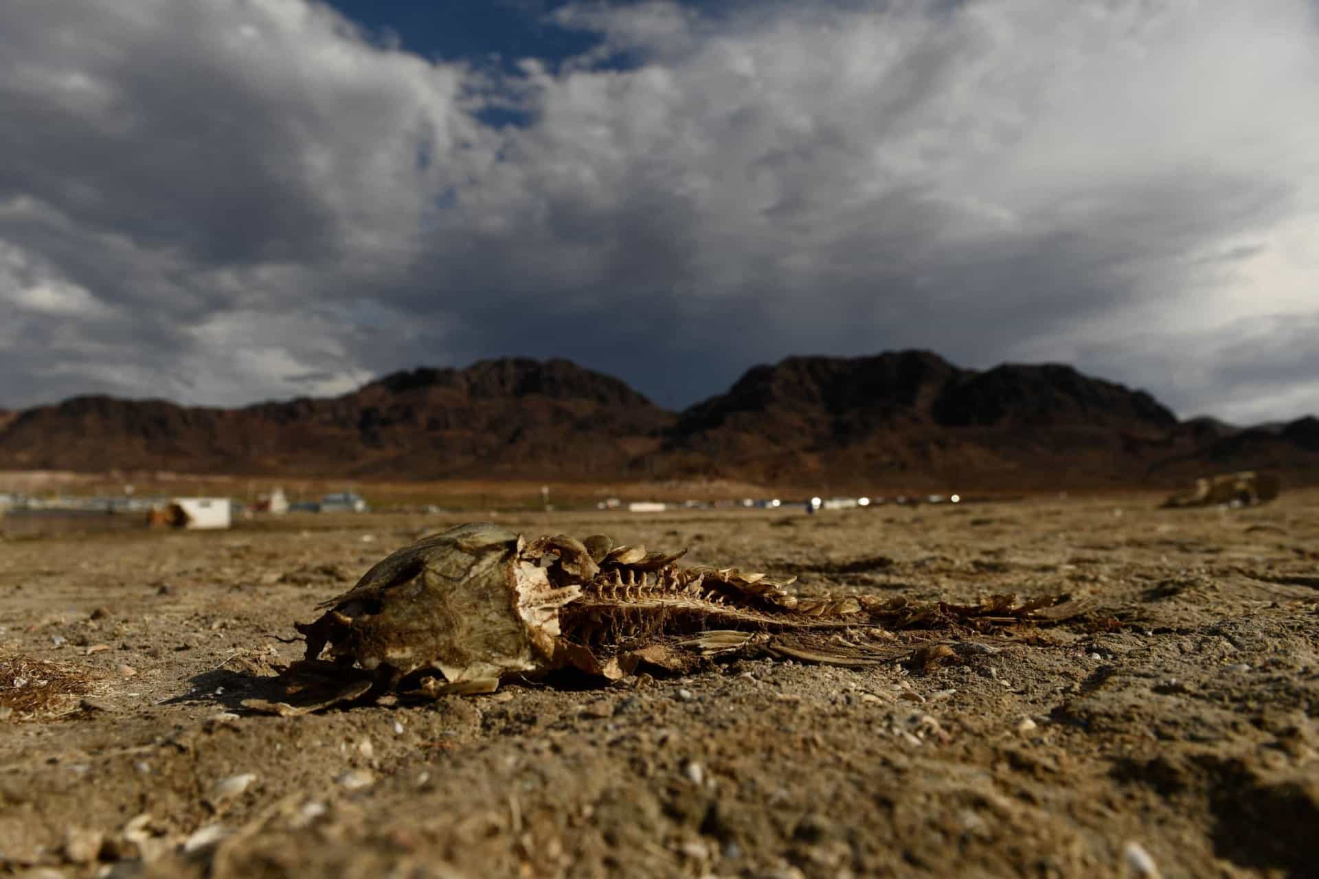 The most endangered lakes in the world