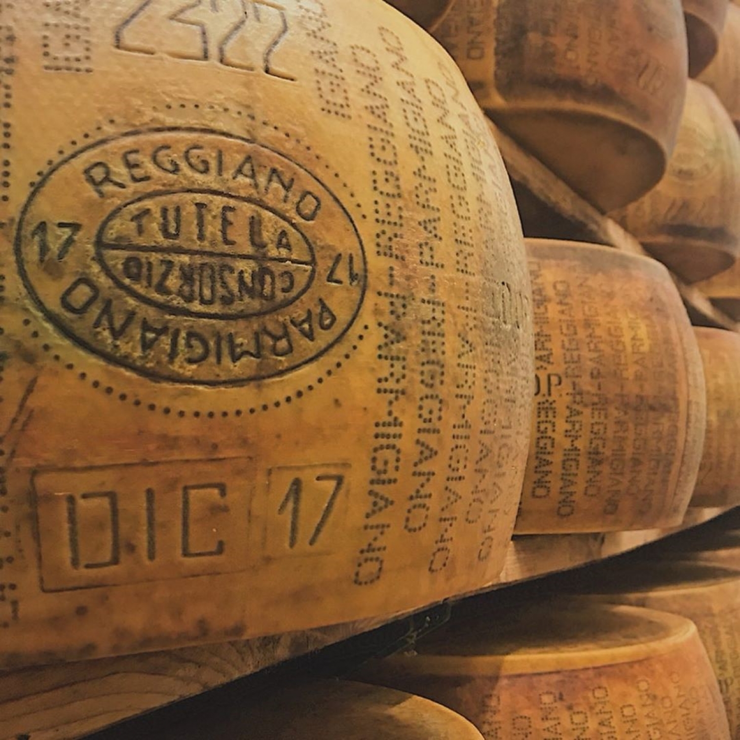 Nós demos a volta ao mundo em 80 queijos, você conhece todos?