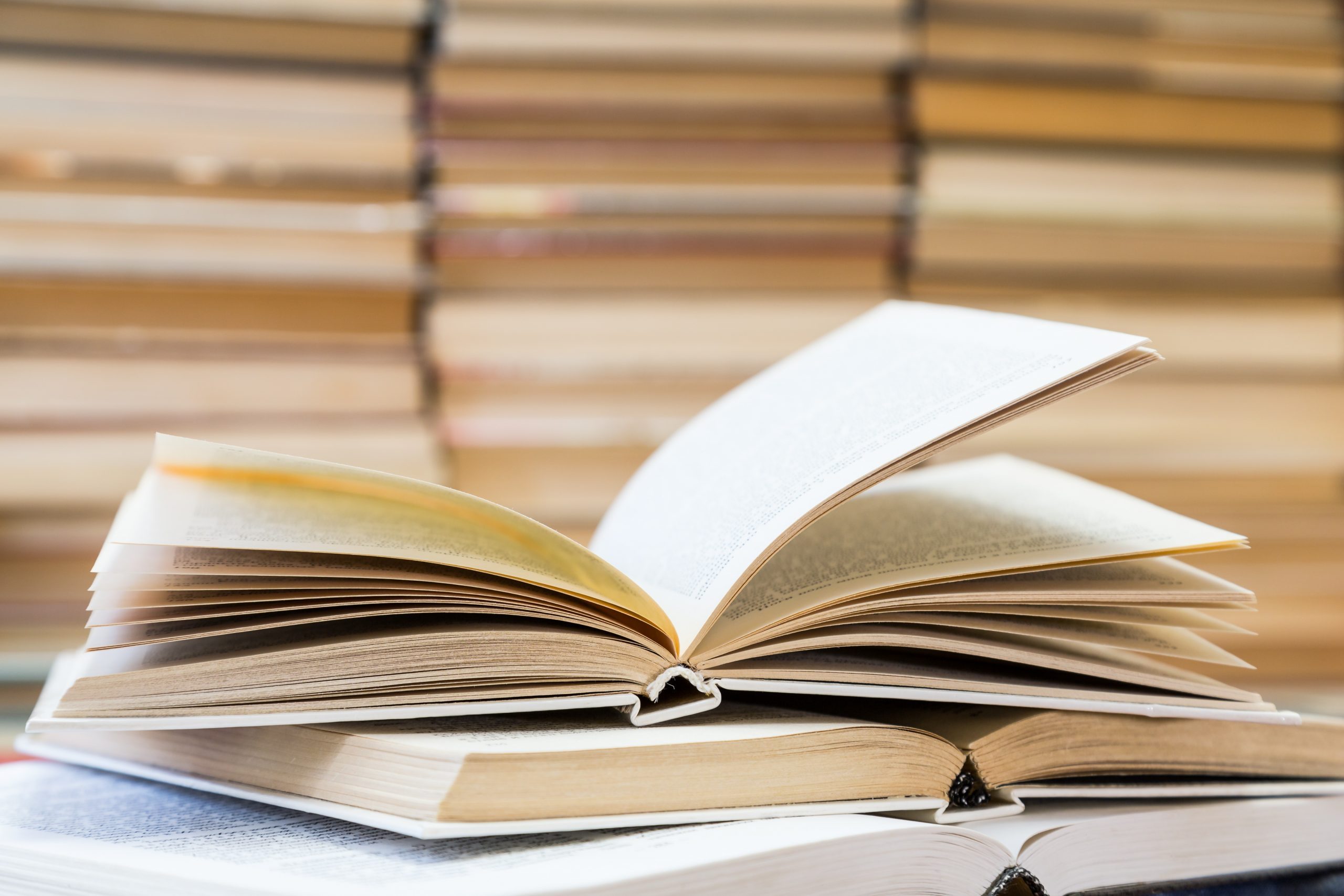 The Most Loved Bookstore in Every State