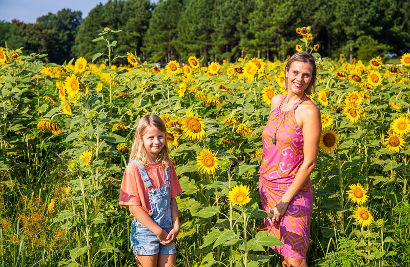 The 5 Best Sunflower Fields in Raleigh To Visit This Summer 2024!