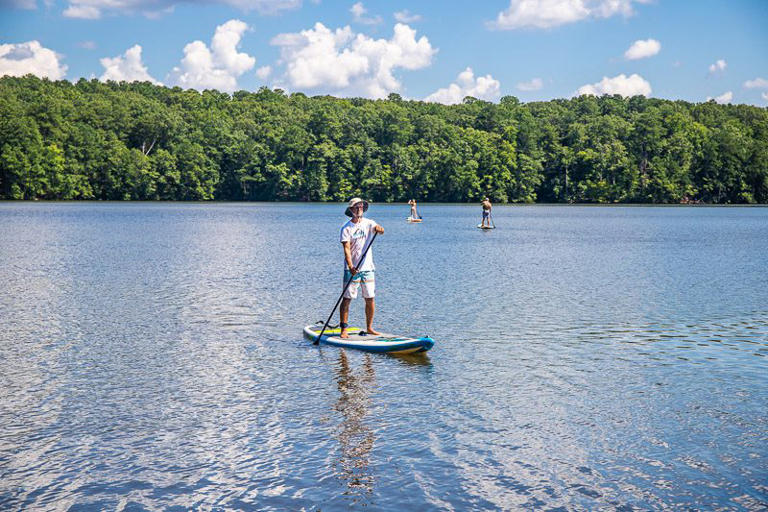 40+ Fun Summer Activities in Raleigh To Add To Your Summer Bucket List