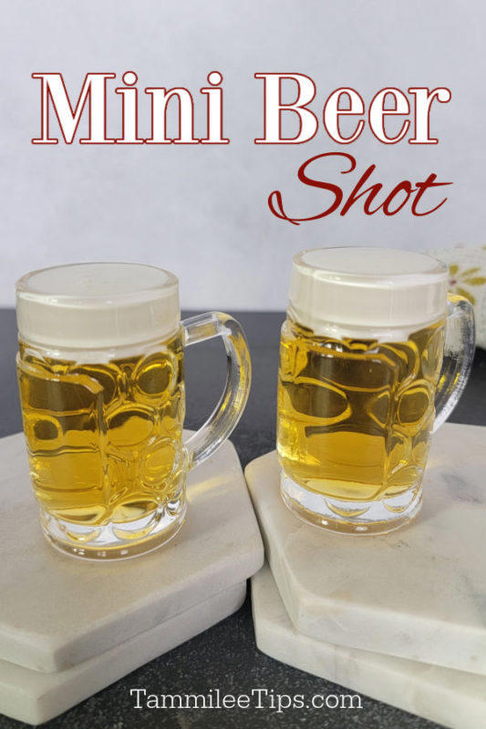 How to Make a Mini Beer Shot!