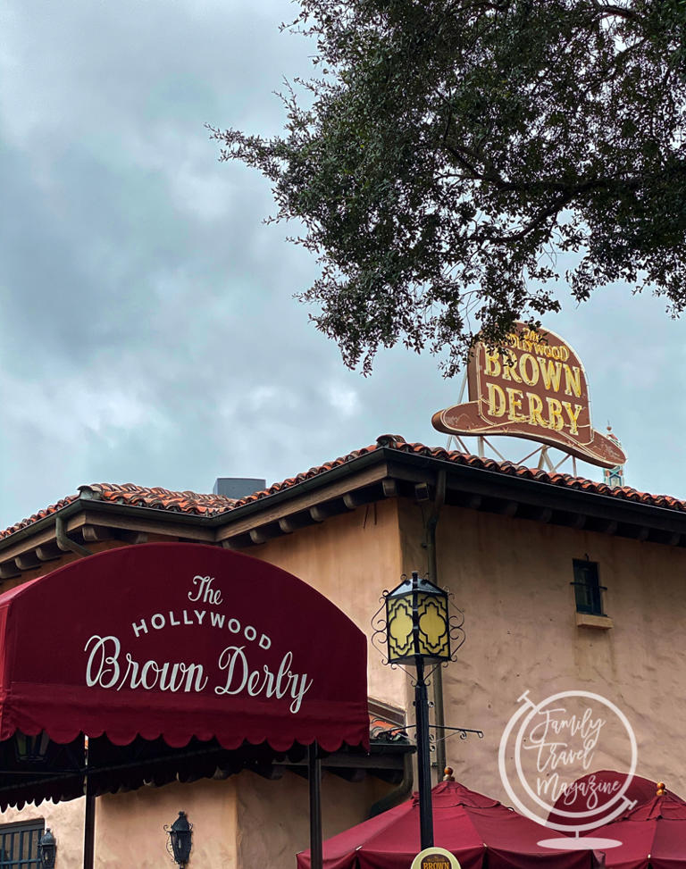The Best Theme Parks in Walt Disney World For Adults