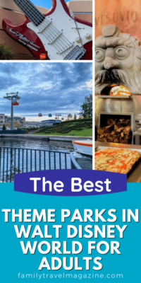 The Best Theme Parks in Walt Disney World For Adults