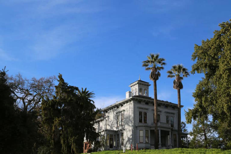 Epic National Parks near San Francisco