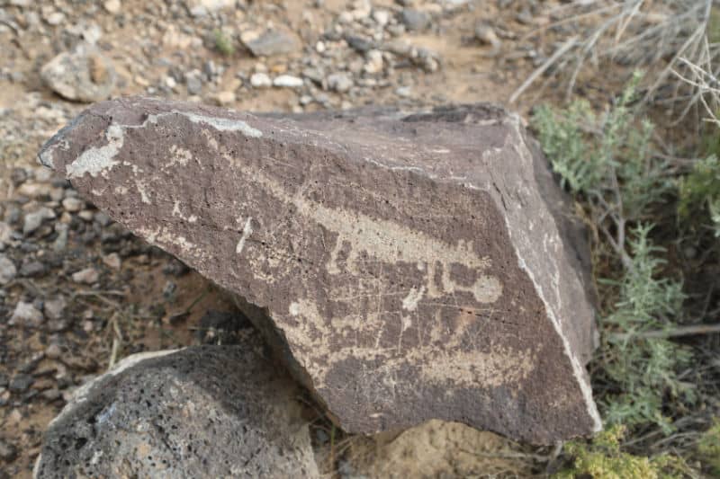 Complete Guide to Petroglyph National Monument