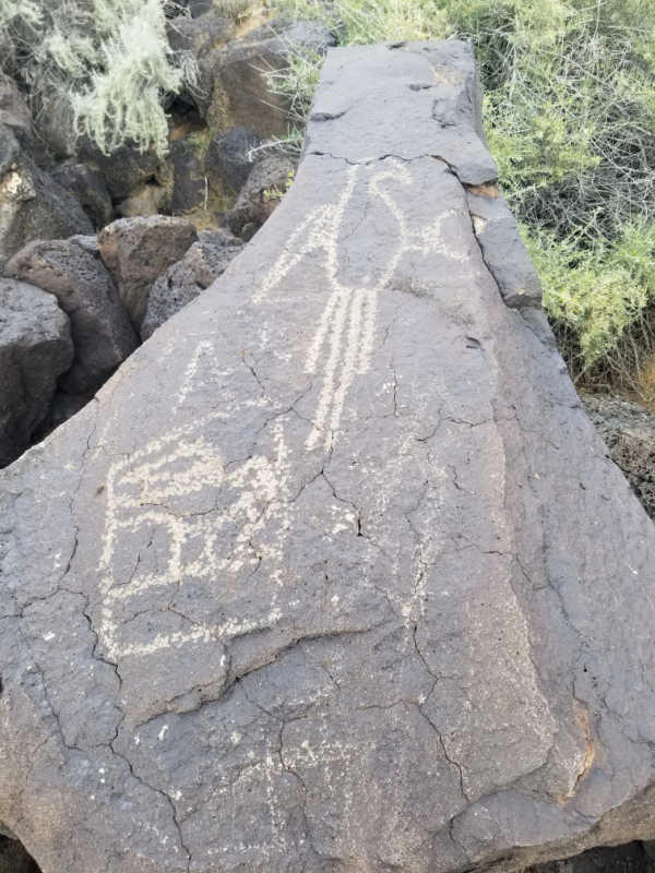 Complete Guide to Petroglyph National Monument