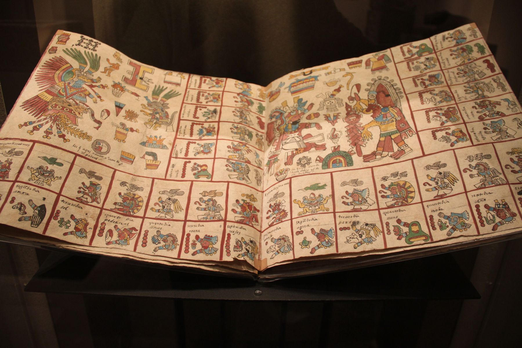 The Rise And Fall Of The Aztec Empire