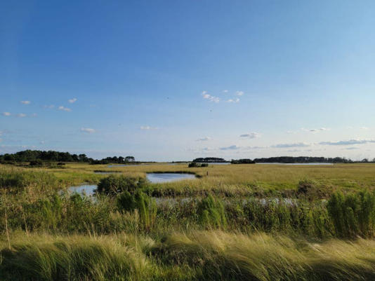 Complete Guide to Assateague Island National Seashore