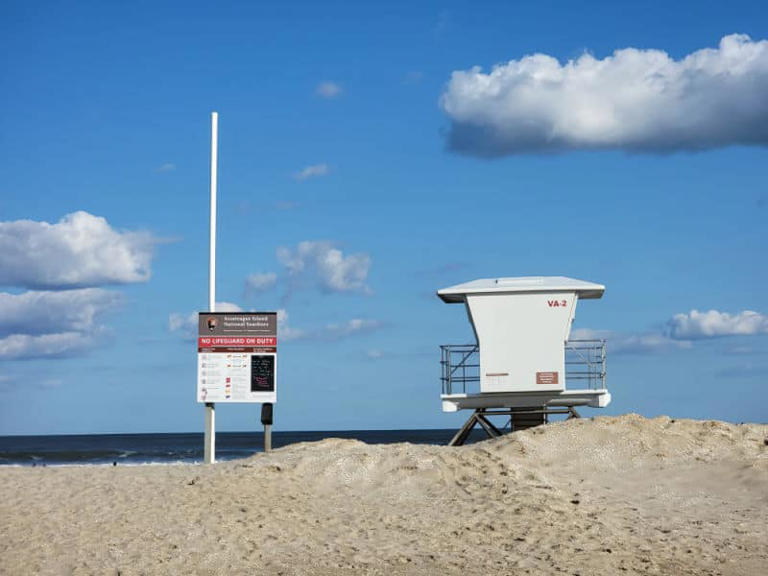 Complete Guide to Assateague Island National Seashore