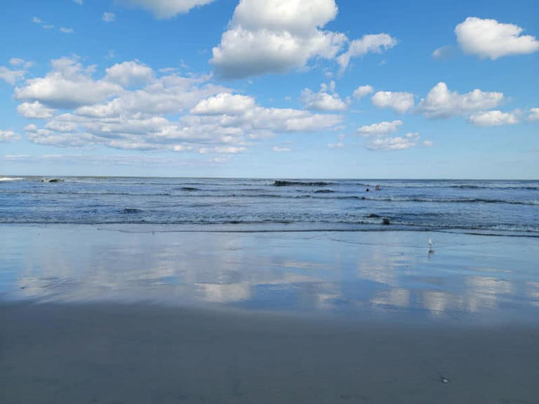 Complete Guide to Assateague Island National Seashore