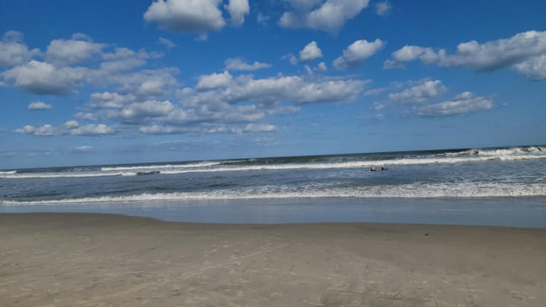 Complete Guide to Assateague Island National Seashore