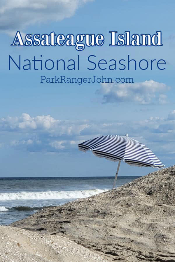 Complete Guide to Assateague Island National Seashore
