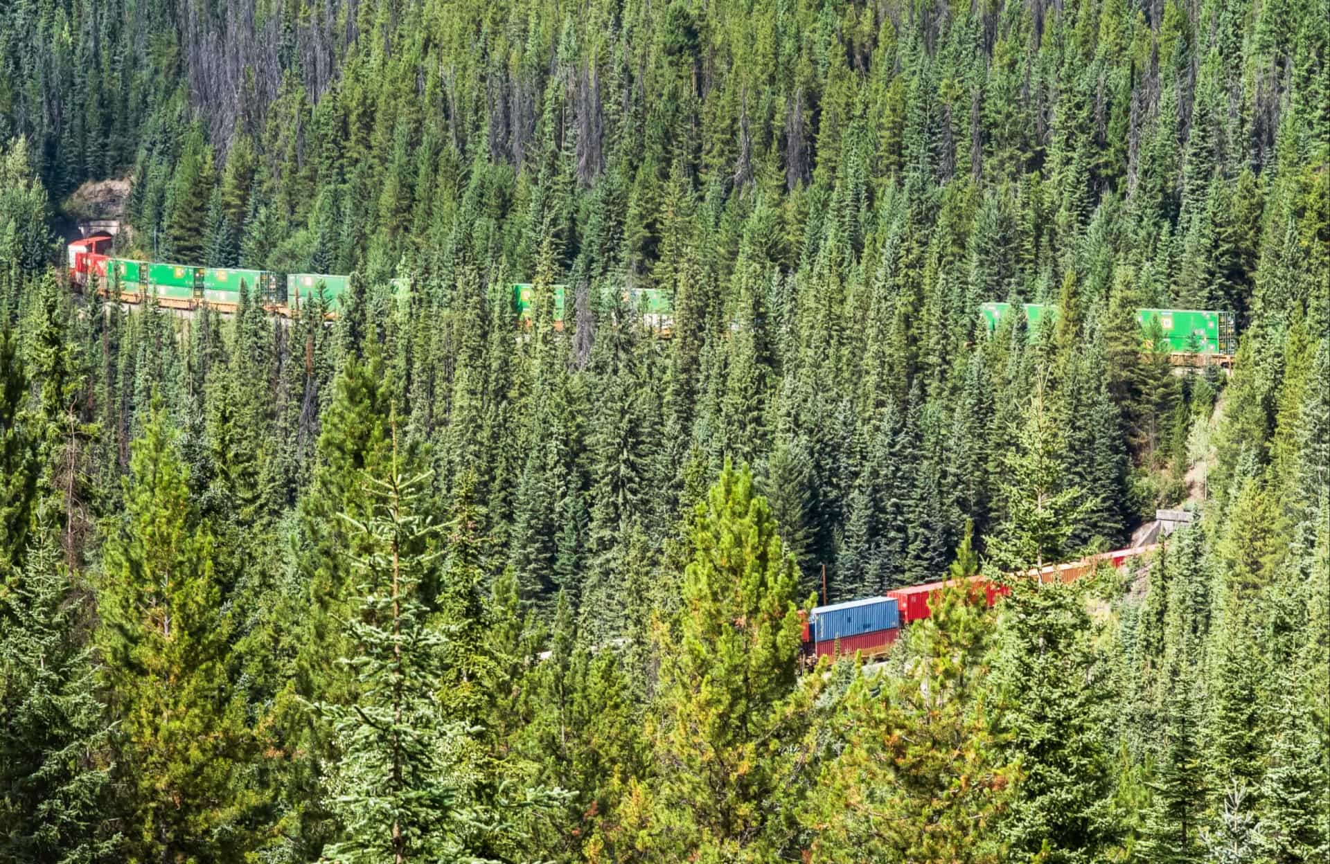 Tunnel vision: how they built some of the world's most amazing railway ...