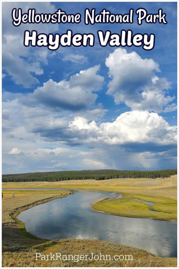 Epic Guide to Hayden Valley – Yellowstone National Park