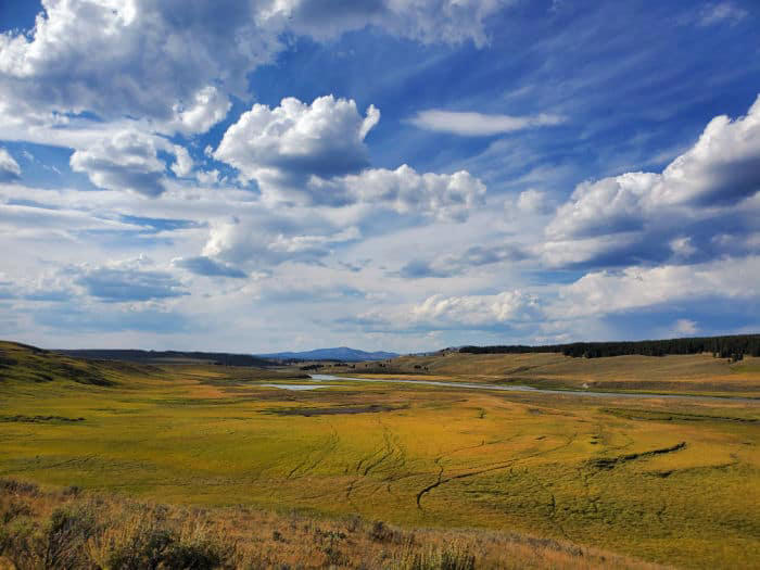 Epic Guide to Hayden Valley – Yellowstone National Park