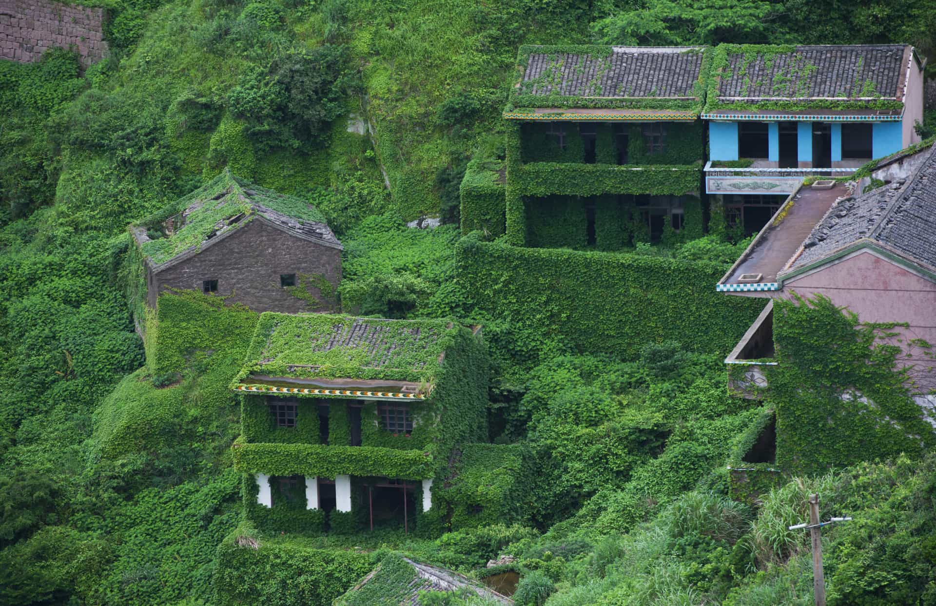 Diese verlassenen Orte wurden von Mutter Natur zurückerobert