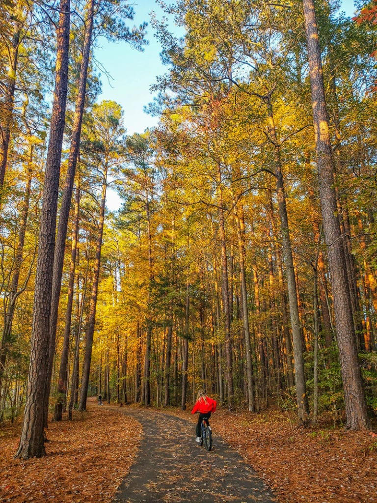 Where To See Fall Colors In Raleigh & The Triangle Region