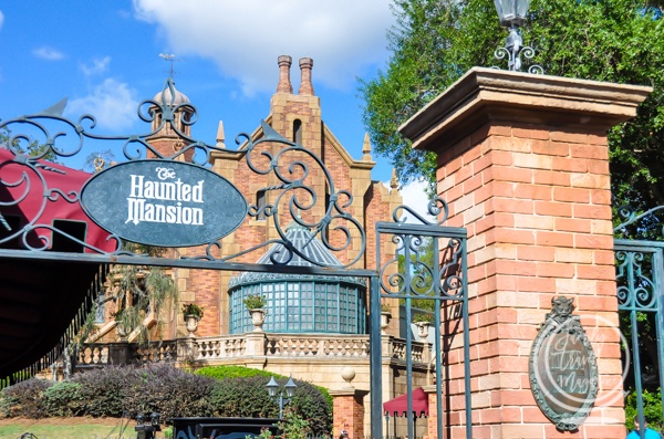 A Complete Guide to the Magic Kingdom Rides