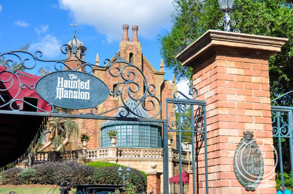 13 of the Best Rides at Disney World for Adults