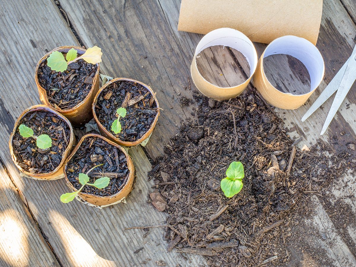 This Clever Landscaping Trick Will Transform Your Yard