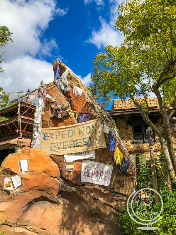13 of the Best Rides at Disney World for Adults