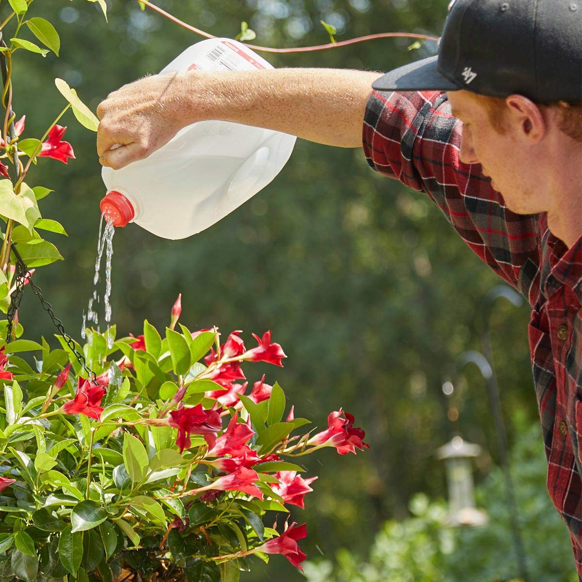 This Clever Landscaping Trick Will Transform Your Yard