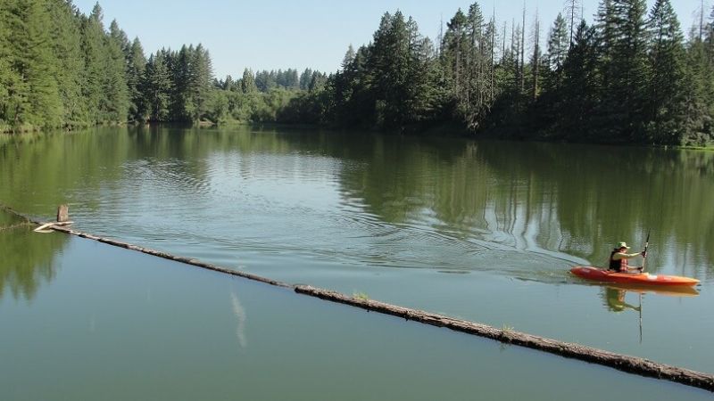 Dangerous algae blooms at Lacamas Lake prompt public health advisory