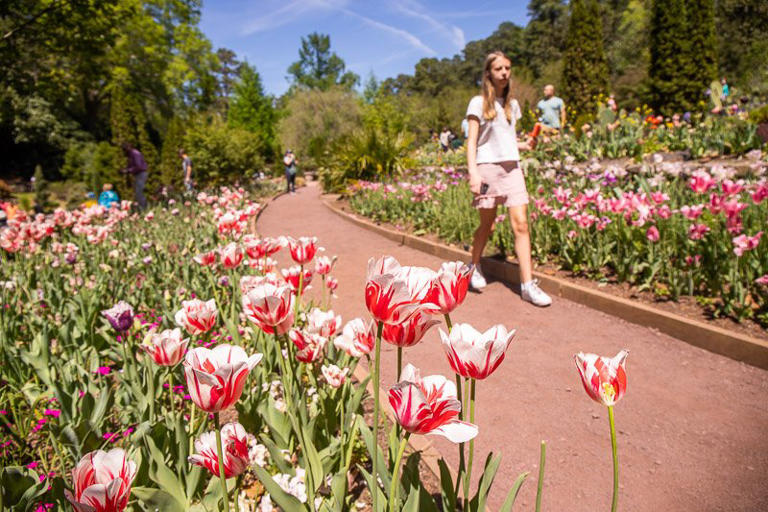 A Guide to Sarah P. Duke Gardens in Durham (30 minutes from Raleigh)
