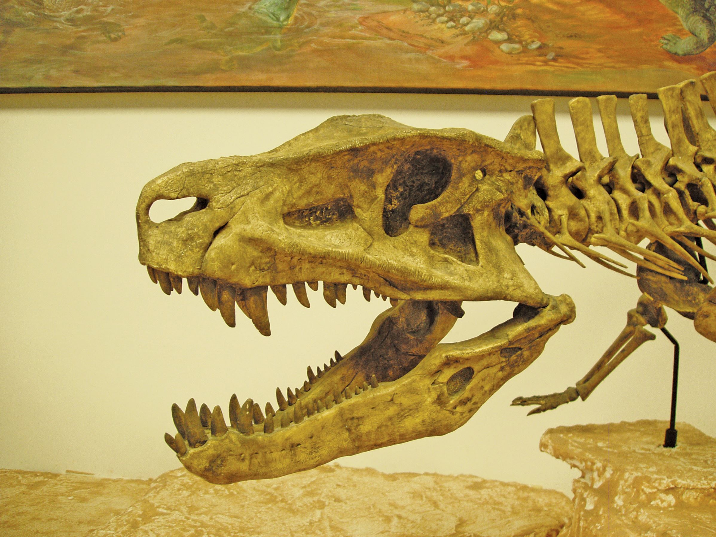 10 best places to discover dinosaurs and fossils
