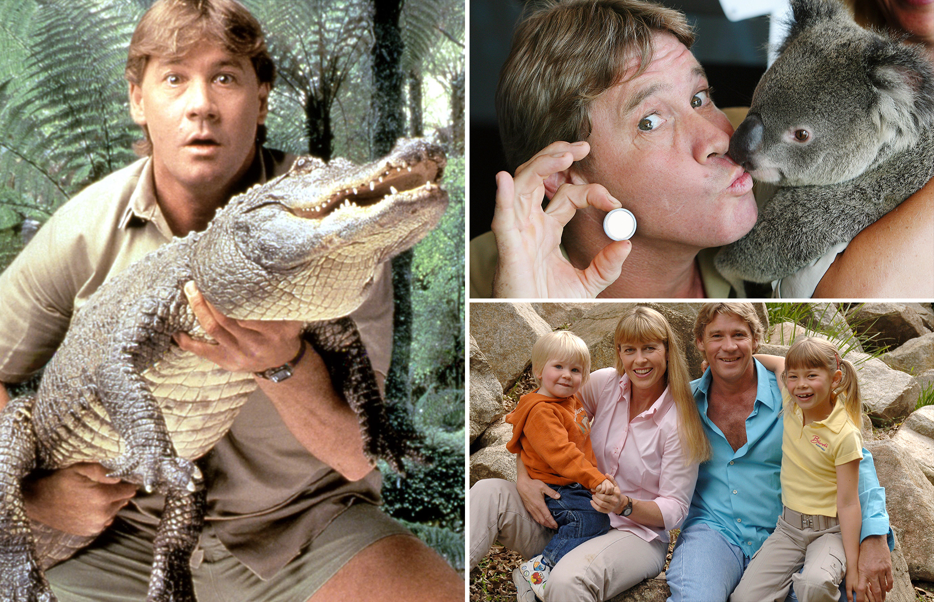 Stingray Barb Steve Irwin