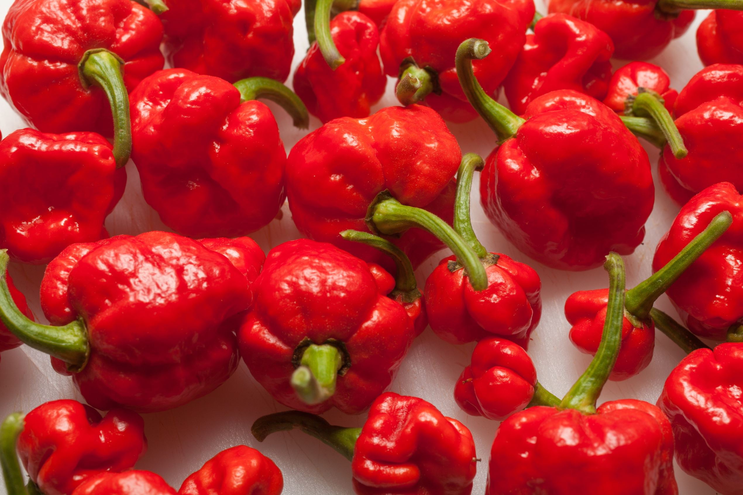 chilli pepper – Gourmet Guide234