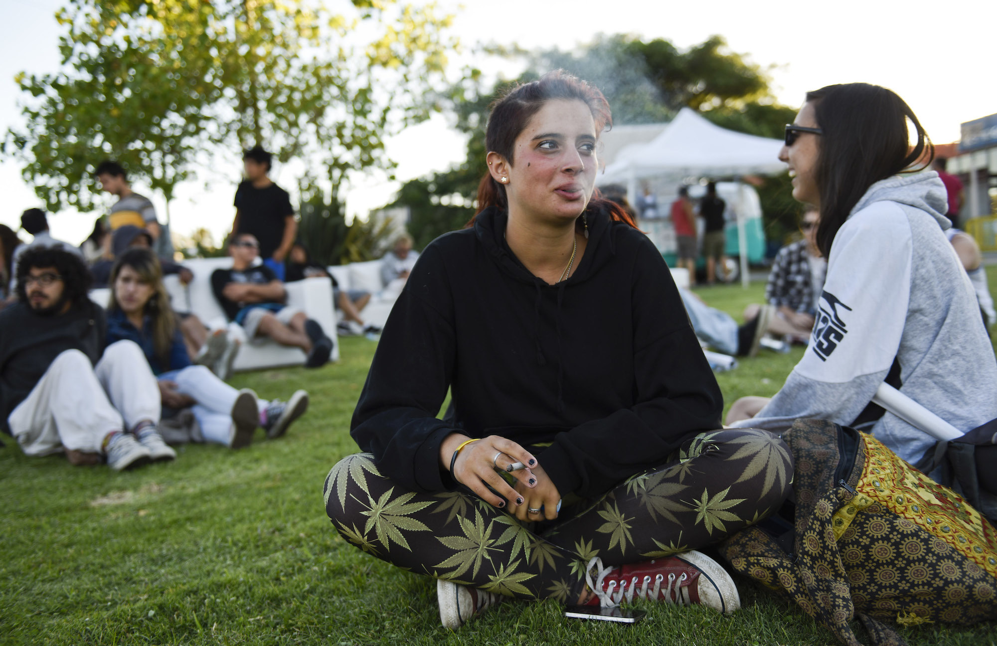 What marijuana really does to your body and brain