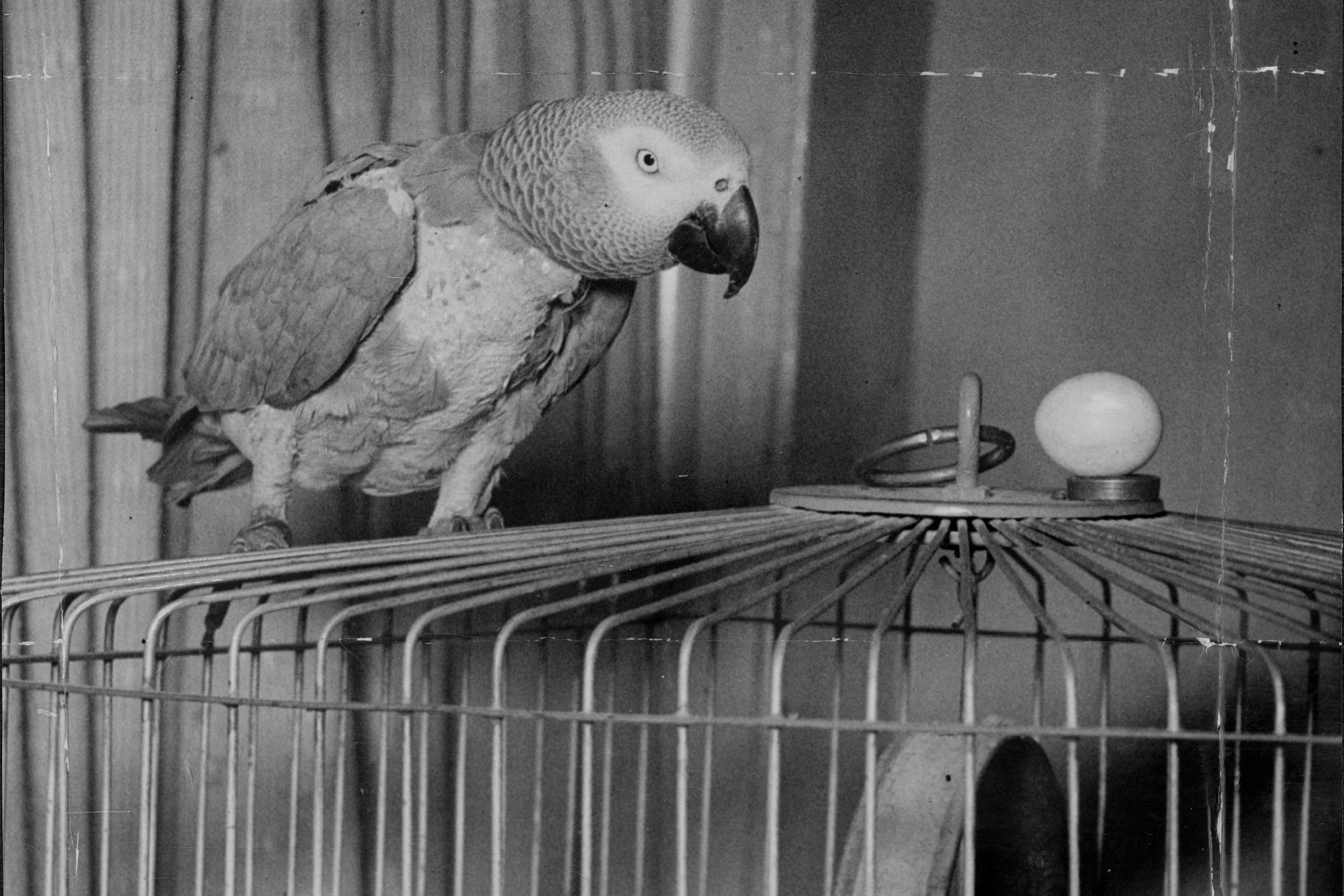 45 Astonishing Facts You Never Knew About U.S. Presidents